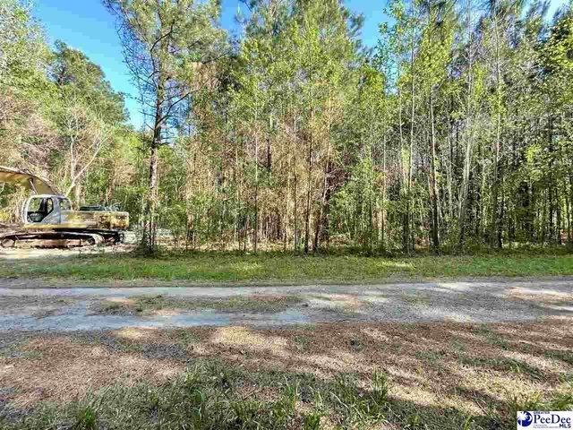 Beth Dr, Conway, SC 29527