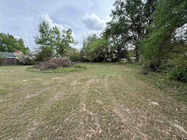 Beth Ln, Winona, TX 75792