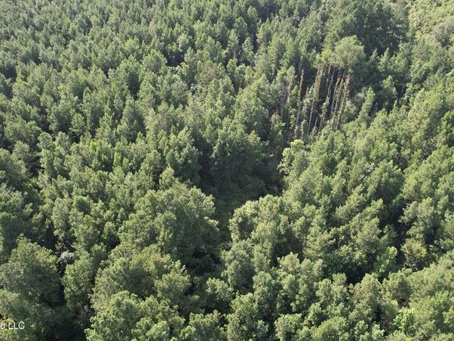 Bethel Road, Liberty, MS 39645