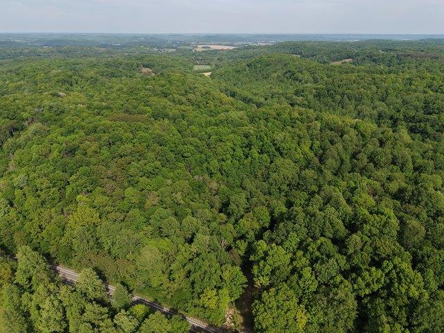 Bethel Rd, Pulaski, TN 38478