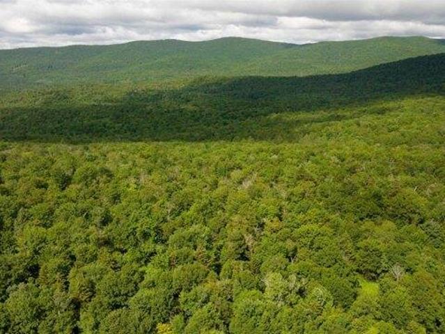 Bethel VT 05060 102592897
