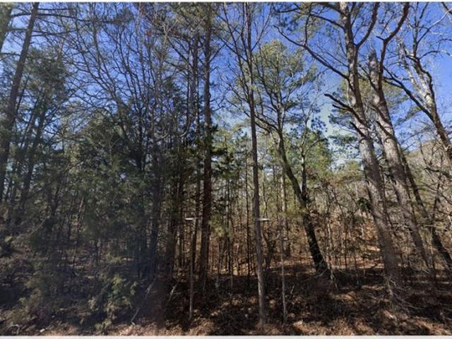 Bethesda Purdy Rd, Selmer, TN 38375