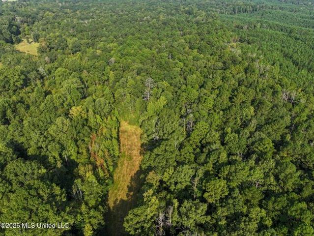 Bethesda Rd, Crystal Springs, MS 39059