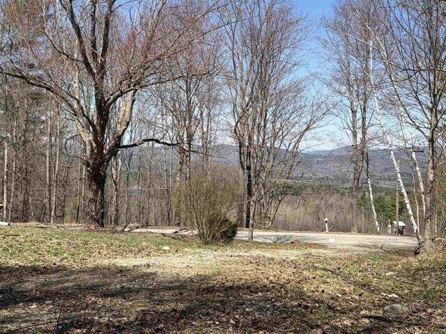 Bethlehem NH 03574 102284080