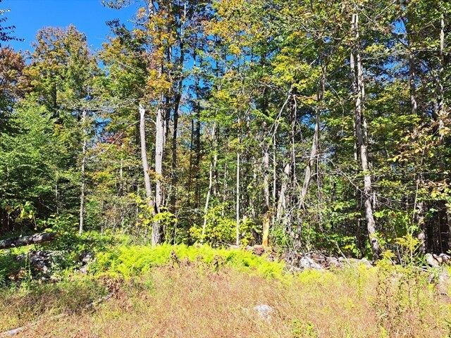 Beulah Land Rd Lot B, Blandford, Plot For Sale