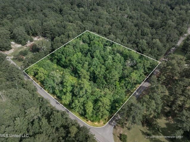 Beverly Hills Dr Lot 1, Hattiesburg, MS 39402