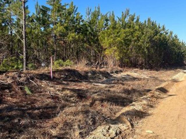 Bff Ii 8 Brunson Teal Rd Lot 8, Patrick, SC 29854