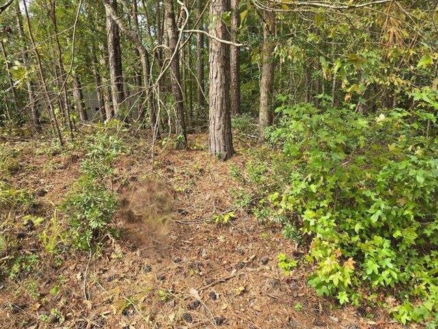 Bk Brassie Dr Lt,mccormick, Plot For Sale