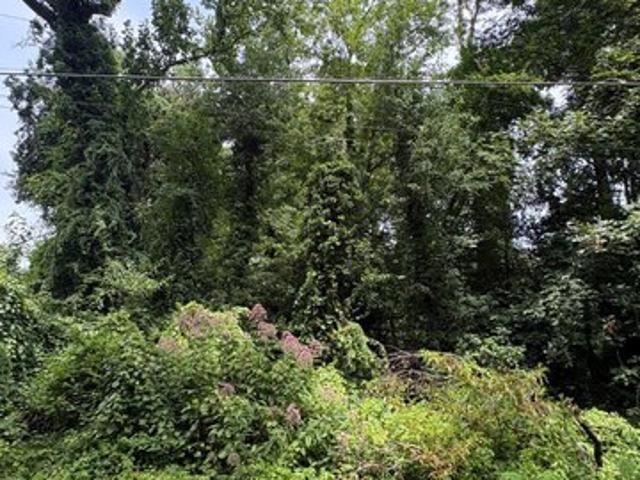 Bk C 80 25 N Oakdale St Lot 26 28, Aberdeen, MD 21001
