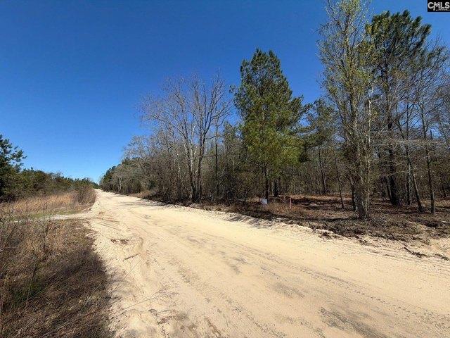 Bhl 11 Boise Cascade Rd Lot 11, Bethune, SC 29009