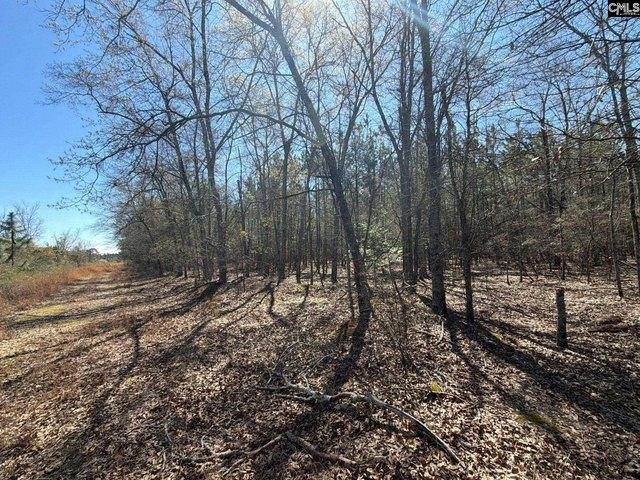 Bhl 12 Boise Cascade Bhl Rd Lot 12, Bethune, SC 29009