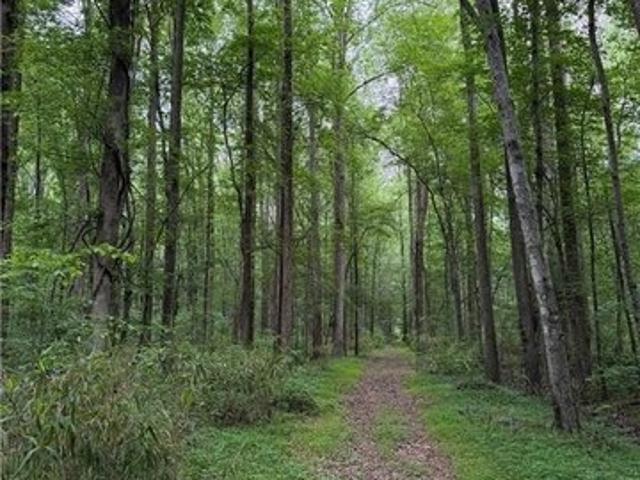 Binford St Lot 18, Chesapeake, VA 23322