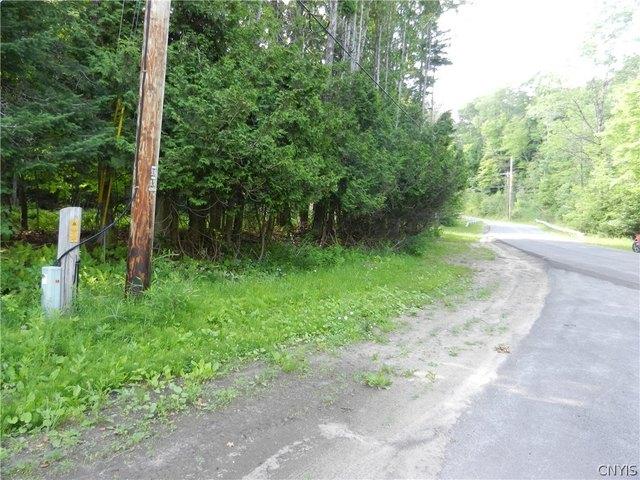 Bingham Mills Rd, Stafford, NY 13470