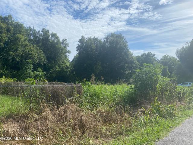 Bingham Street, Clayton, LA 71326