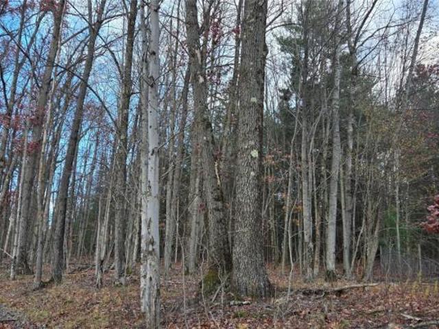 Binghamton NY 13901 LS101252176