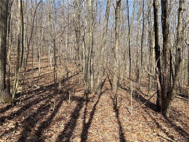 Binghamton NY 13903 103621146