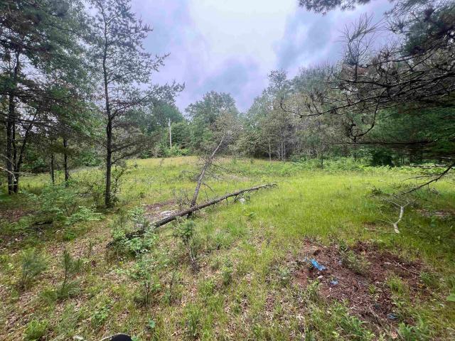 Bielak road
