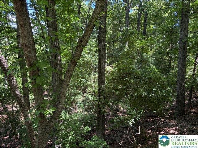 Bierys Bridge Rd, Bethlehem, PA 18017