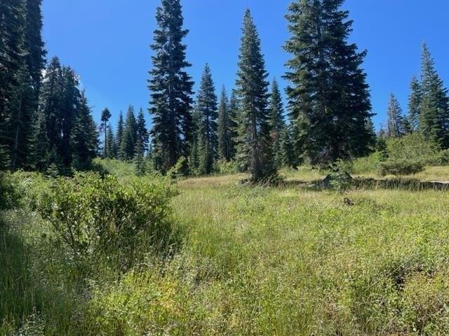 Big Creek Rd, Bucks Lake, CA 95971