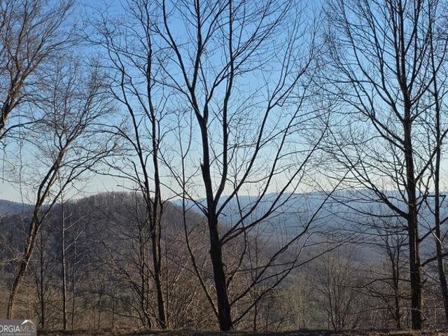 Big Creek Rd, Ellijay, GA 30536