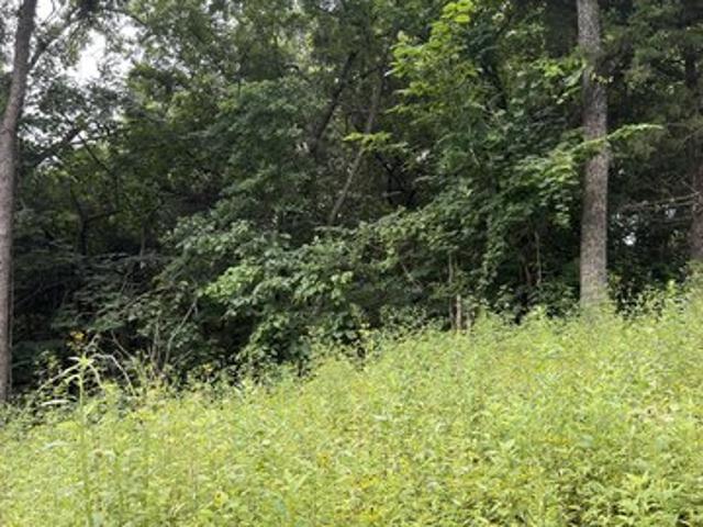 Big Creek Rd Lot 219, Shell Knob, MO 65747