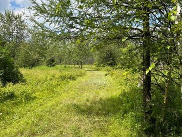 Big Cub Trl Lot 44, Laona, WI 54541