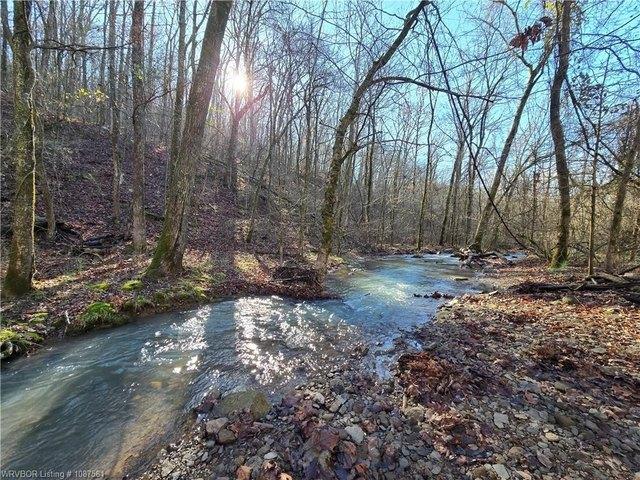 Big Bear Canyon Trl Lot 0, Chester, AR 72934