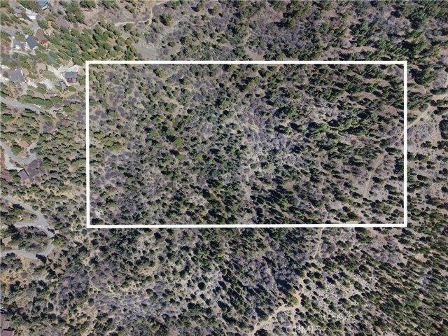 Big Bear City CA 92314 LS96725123