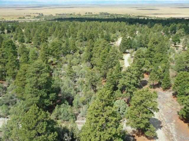 Big Bear Road
