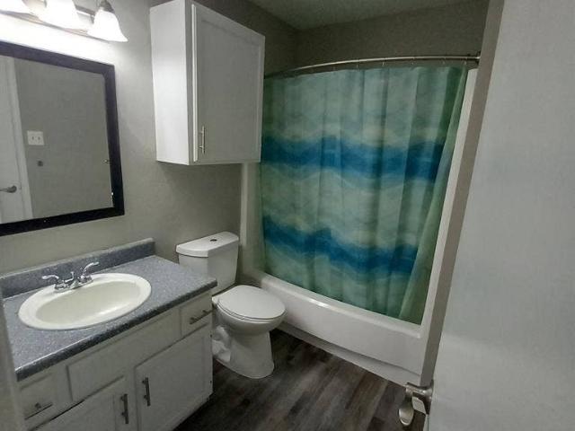 Big beautiful clean room for Rent