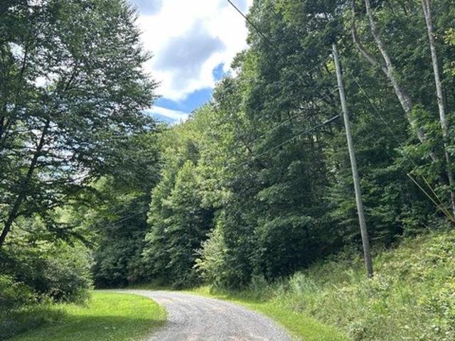 Big Bend Dr, Kingwood, WV 26537