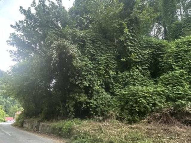 Big Br Rd, Saint Charles, VA 24282