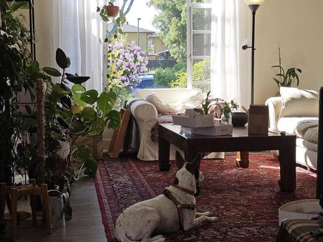 Big, Bright Room in RWC