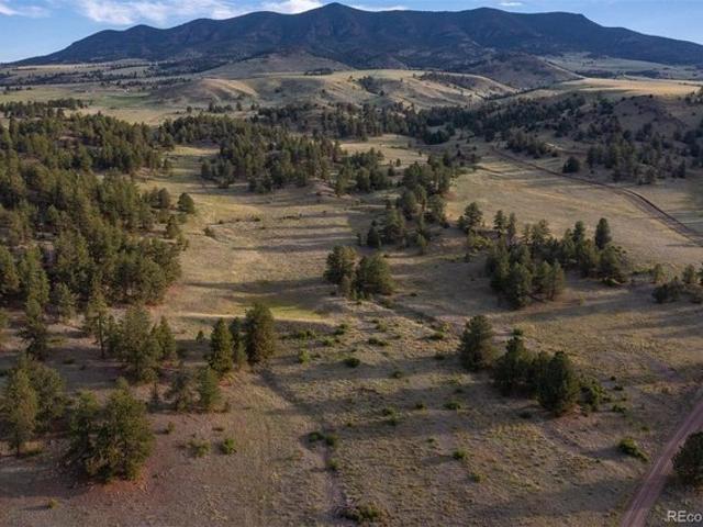 Big Buck Rd, Guffey, CO 80820