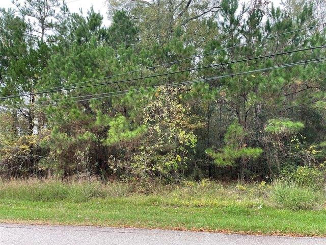 Big Deer Dr, Crosby, TX 77532