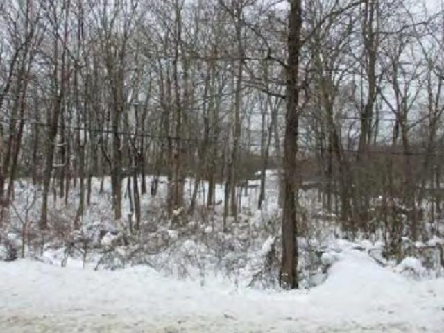 Big Elm Rd