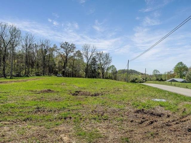 Big Farm 02 Acre Spgs Lots 13 & 1, Monroe, TN 38573