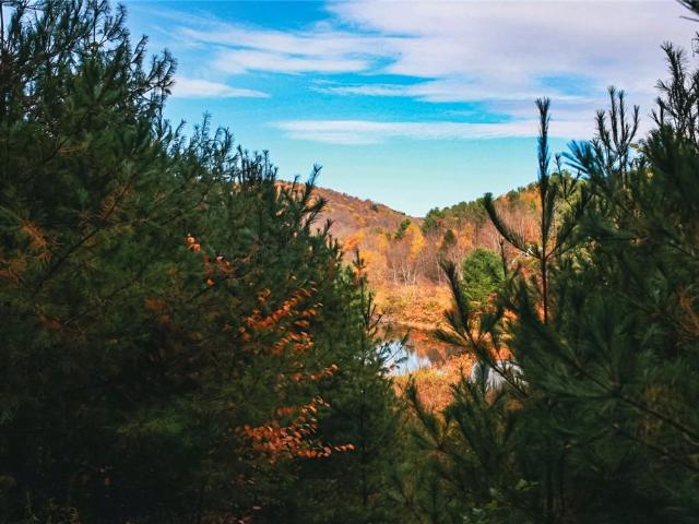 Big Hollow Rd, Deposit, NY 13754 | MLS #R1654 | Compass