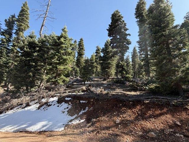 1015 W Big Horn, Duck Creek Village, UT 84762