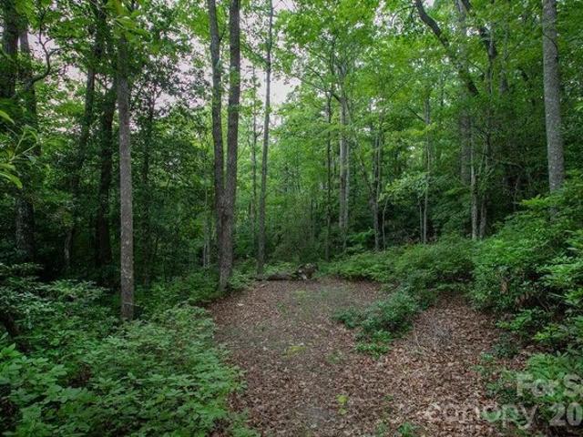 Big Hill Rd Lot 28, Brevard, NC 28712