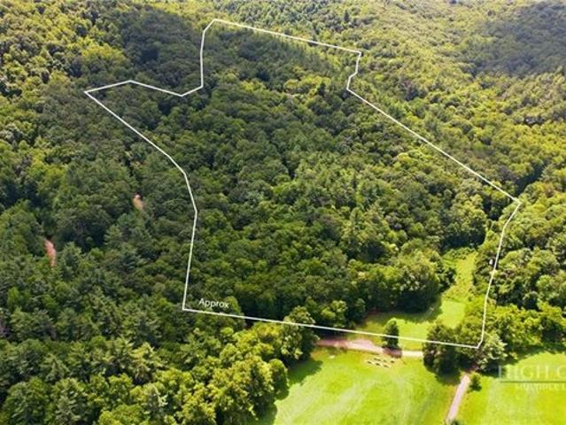 Big Ivy Rd, Purlear, NC 28665