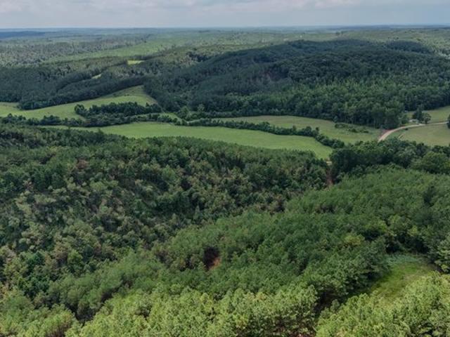 Big Opossum Rd, Waynesboro, TN 38485