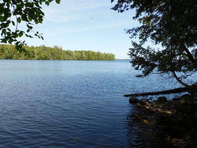 Big Lake Shores Rd Lot,greenlaw Chopping Twp, Plot For Sale
