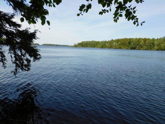 Big Lake Shores Rd Lot,greenlaw Chopping Twp, Plot For Sale