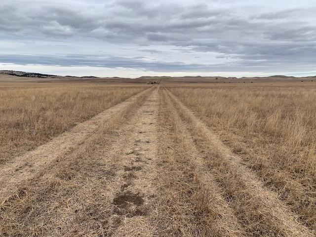 Big Meadow Drive Big Meadows Dr Lot 8, Hermosa, SD 57744