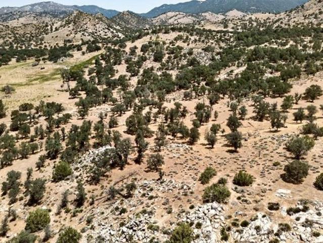 Big Springs Dr Lot 9, Caliente, CA 93518