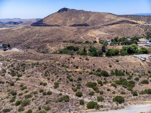 Big Springs Rd, Agua Dulce, CA 91350
