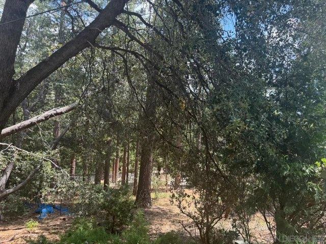 Big Pne Unit 0, Idyllwild, CA 92549