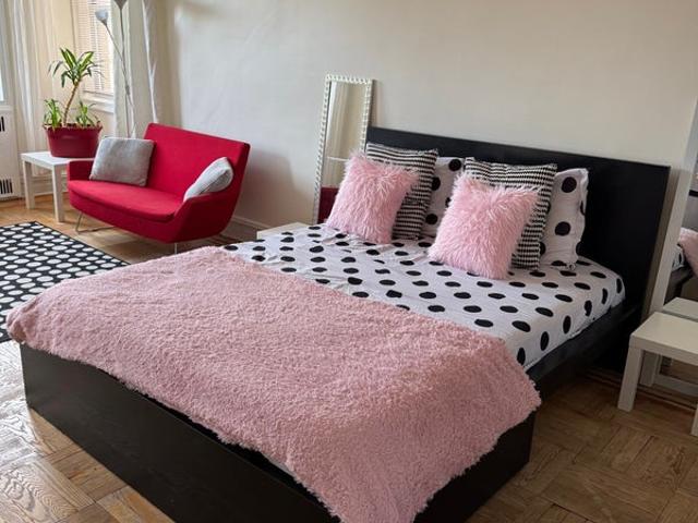 Big Private New Furnished Room