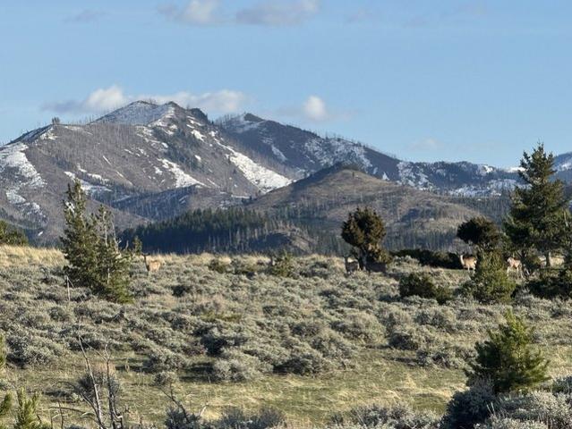 Big Timber, MT 59011